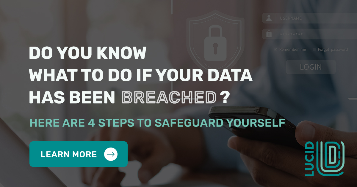 4 Steps to take if your information has been breached - Lucid IT Solutions